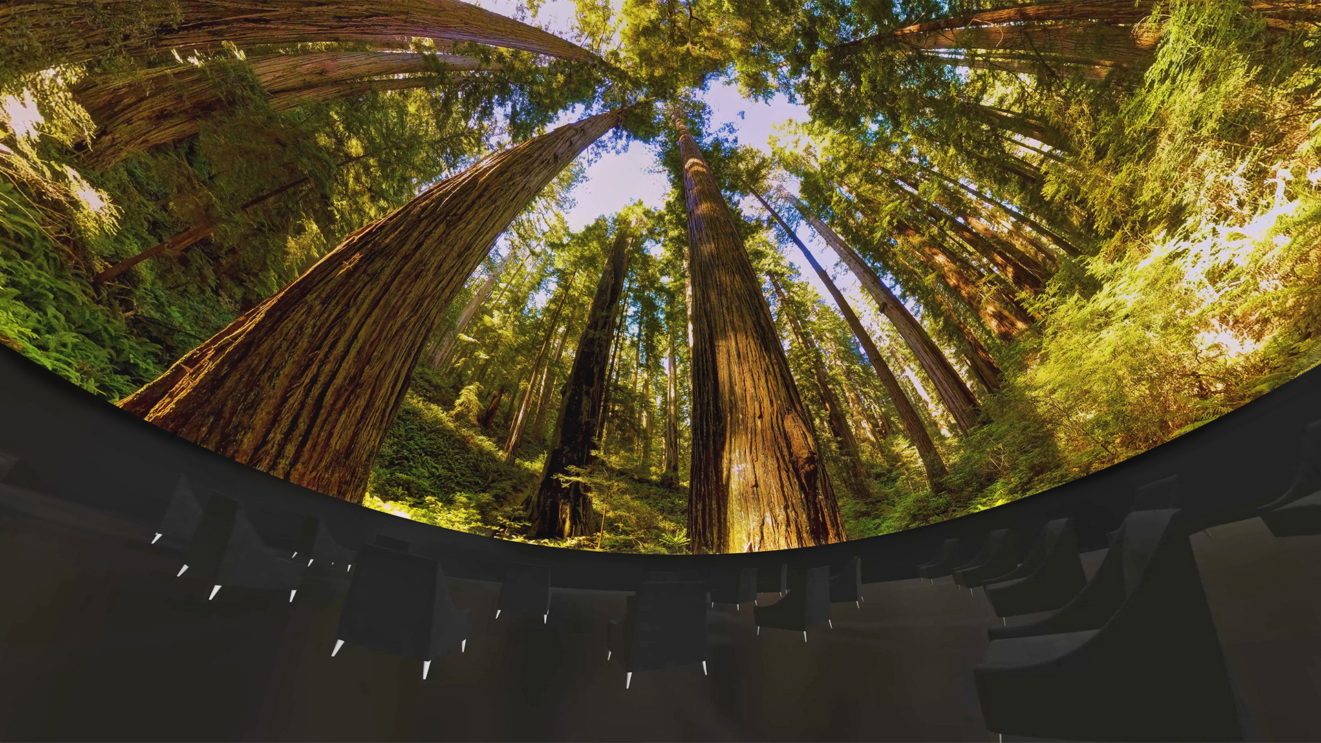 Dome & Planetarium Production | 360 Labs