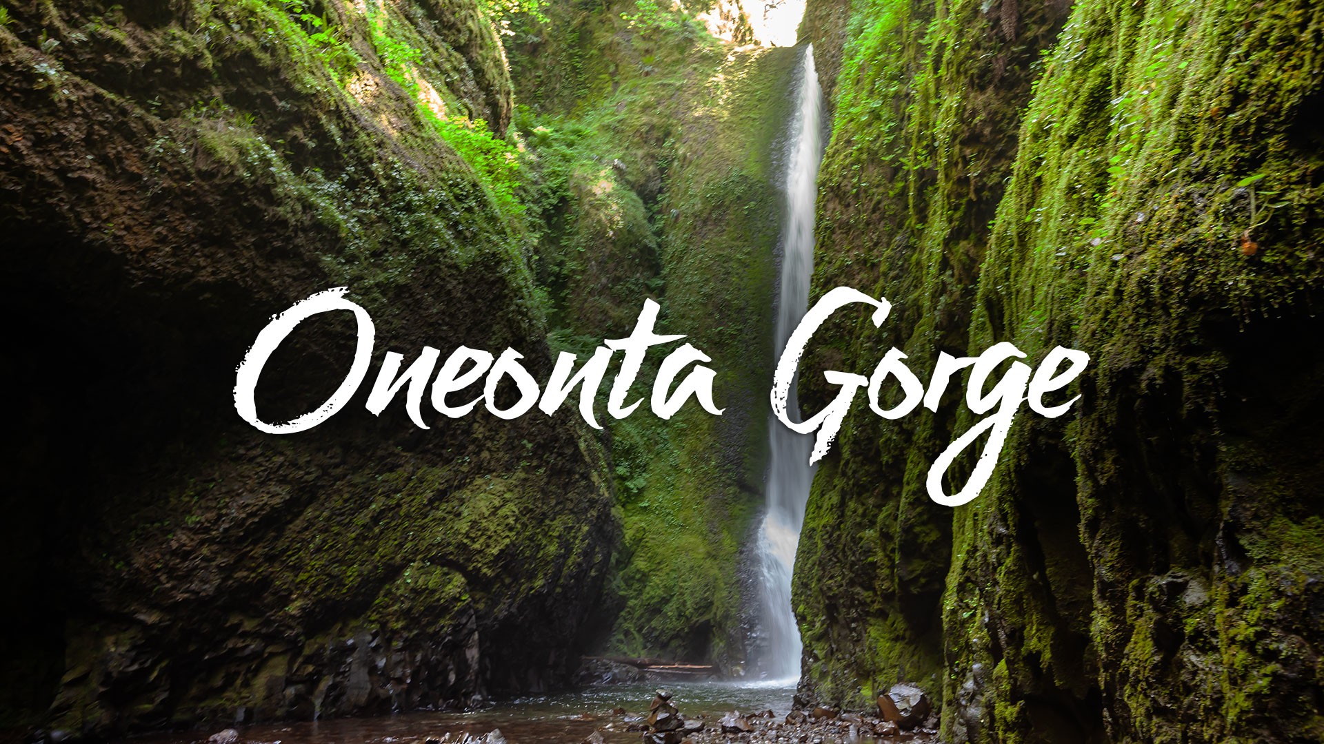 Oneonta Gorge & Lower Oneonta Falls | 360 Labs