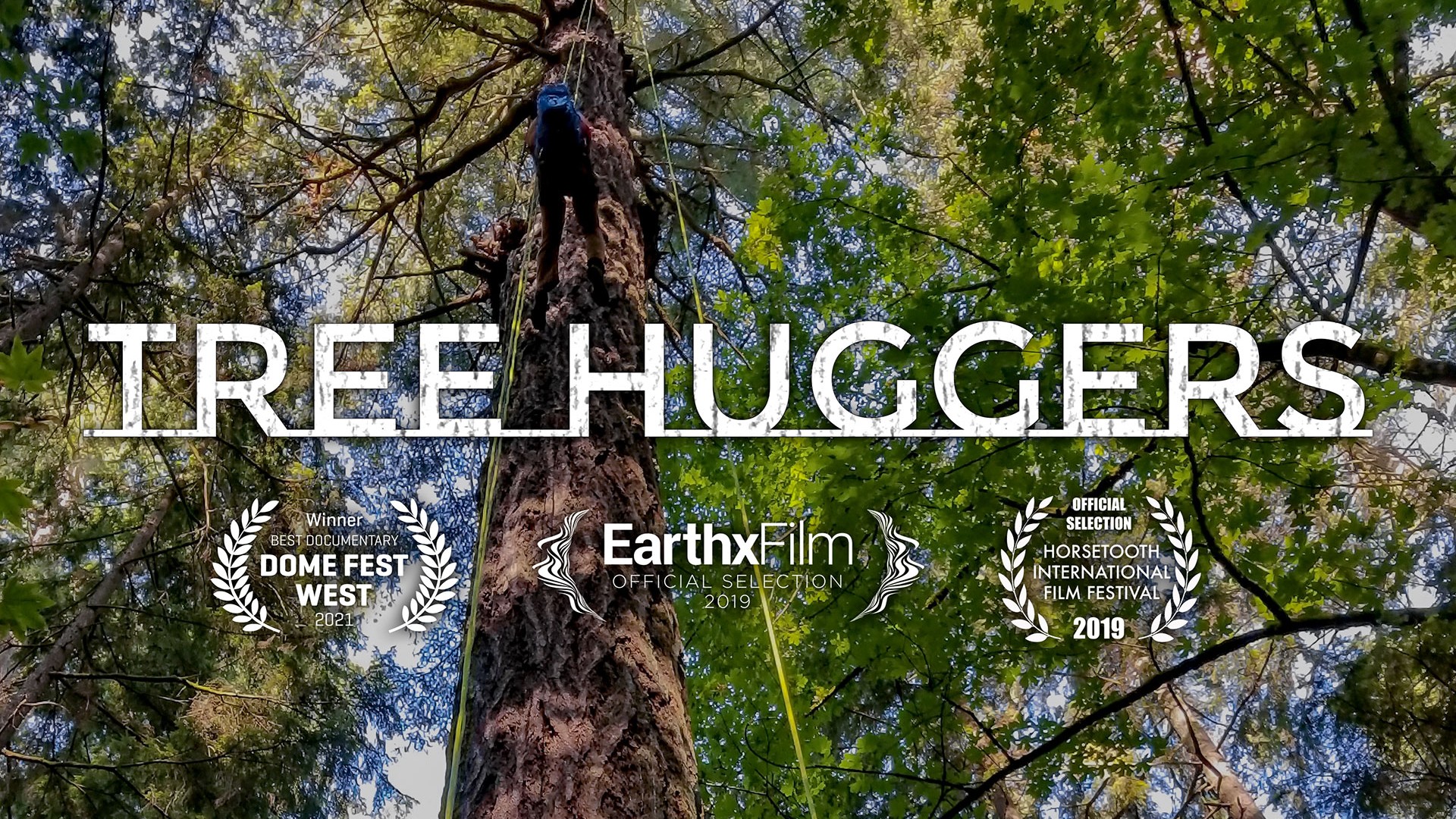 Tree Huggers | 360 Labs